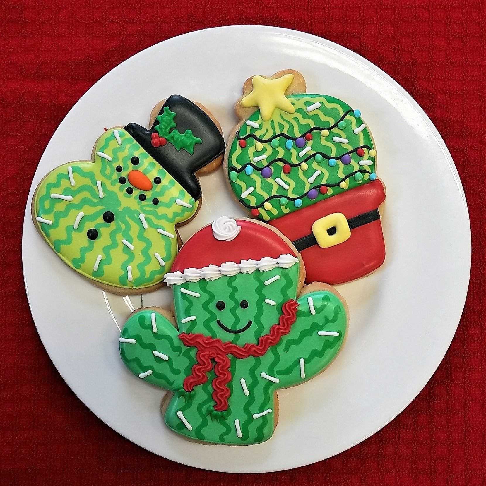 How to Decorate a Chubby Christmas Cactus – The Flour Box